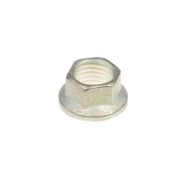 6 Point High Temperature Jet Nuts - H41-4 - raceparts.com