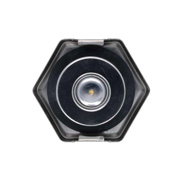 Radiator Caps for Race Car Coolant Systems - raceparts.com
